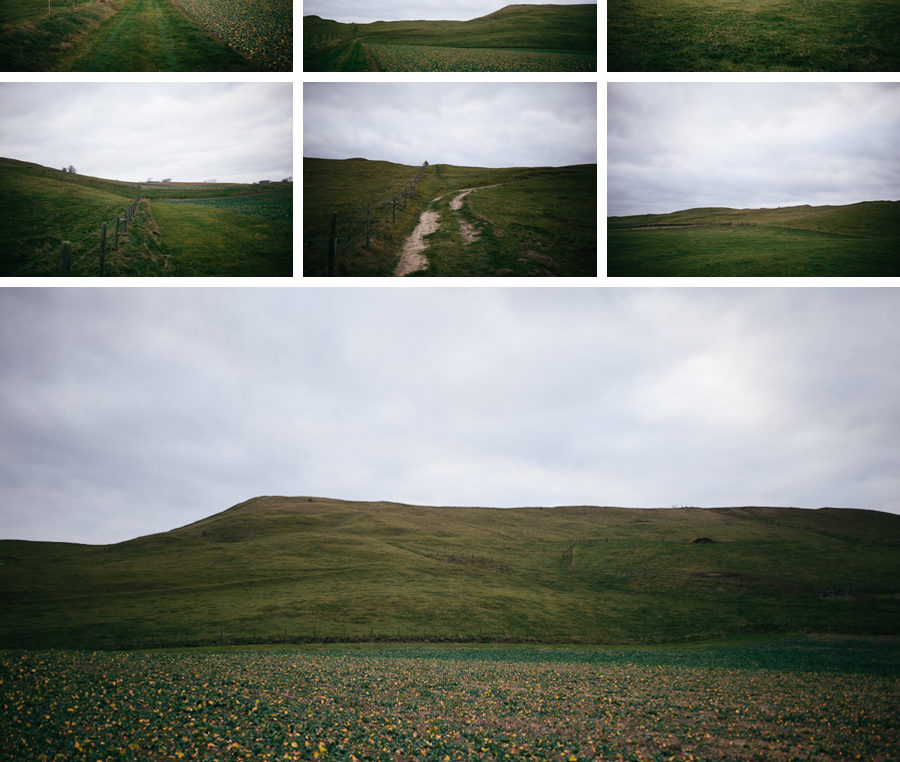 Hammars backar - bröllopsfotograf mattias andersson